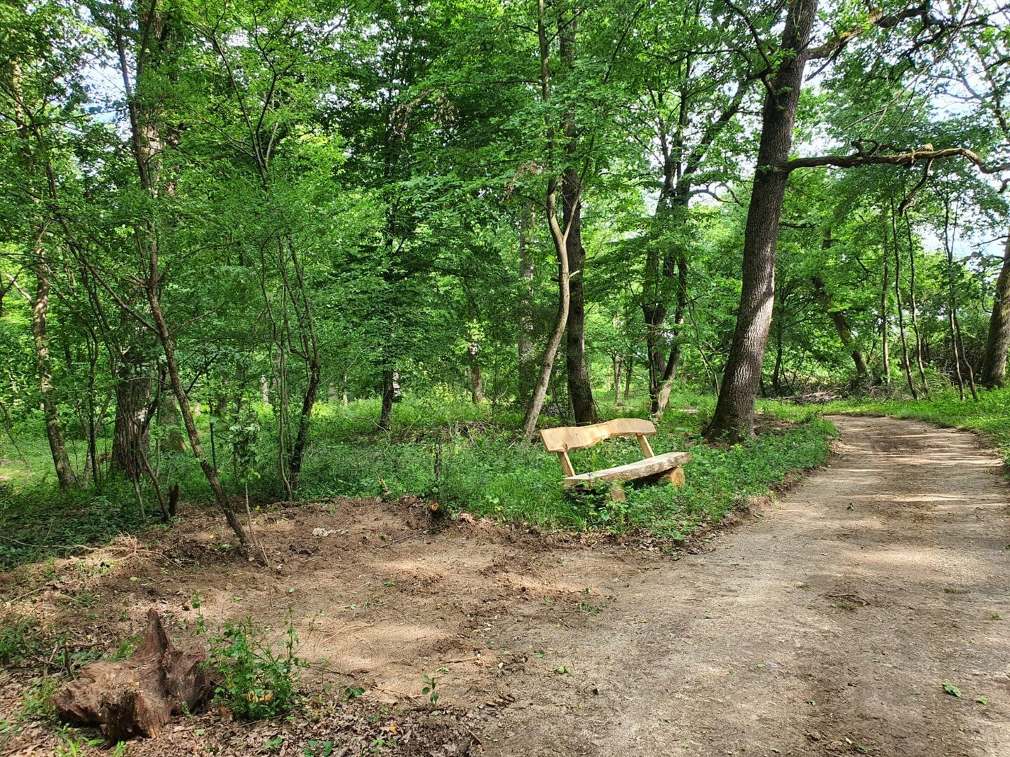 ŞELIMBĂR: Amenajări în Pădurea Sopa (Burchii) - Sibiu Independent