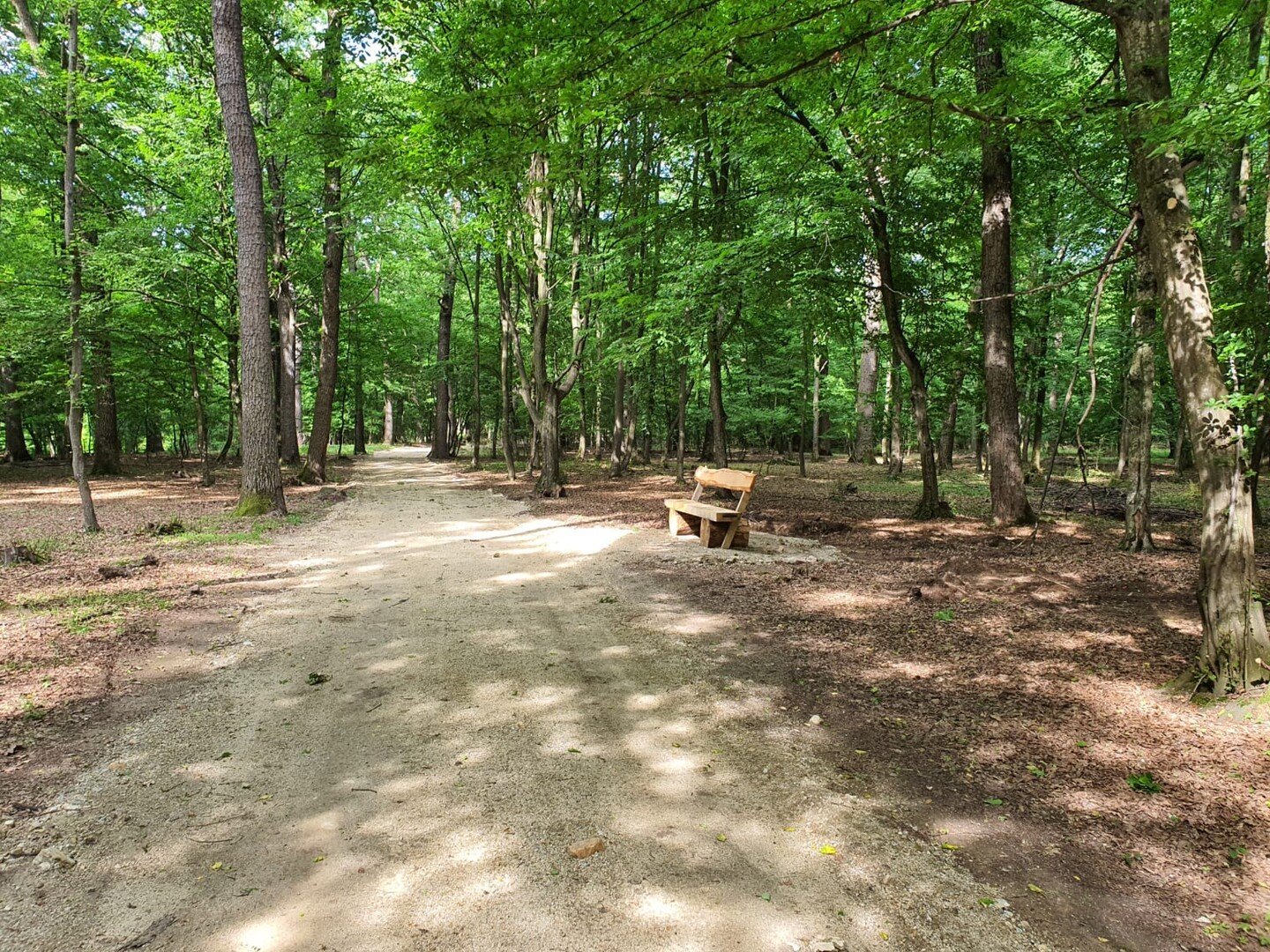 ŞELIMBĂR: Amenajări în Pădurea Sopa (Burchii) - Sibiu Independent