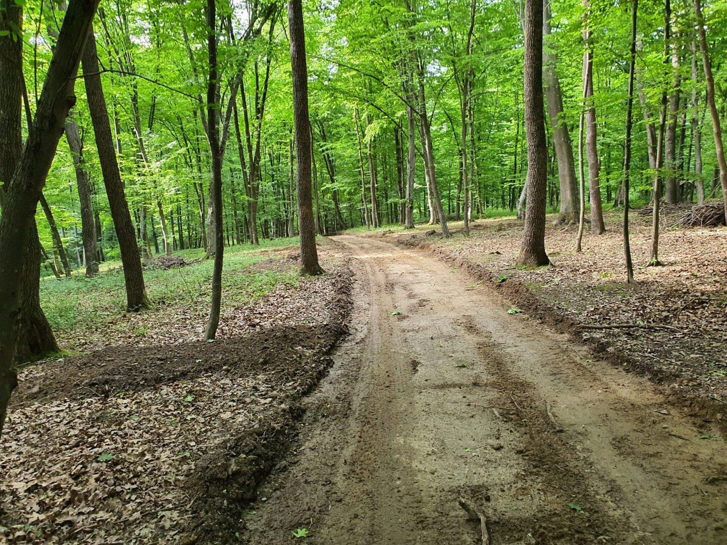 ŞELIMBĂR: Amenajări în Pădurea Sopa (Burchii) - Sibiu Independent