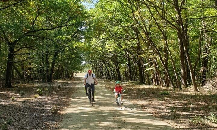 ŞELIMBĂR: Proiect de dezvoltare turistică a zonei pădurii și lacurilor ...