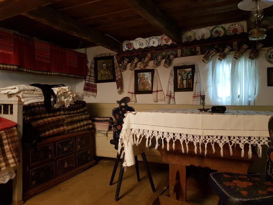 Premieră națională la Muzeul ASTRA: tehnologia VR, utilizată într-un ...