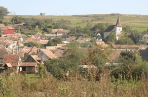 BUNGARD: Rețea de apă-canal și cablaj metropolitan. Investiție de 2,4 ...