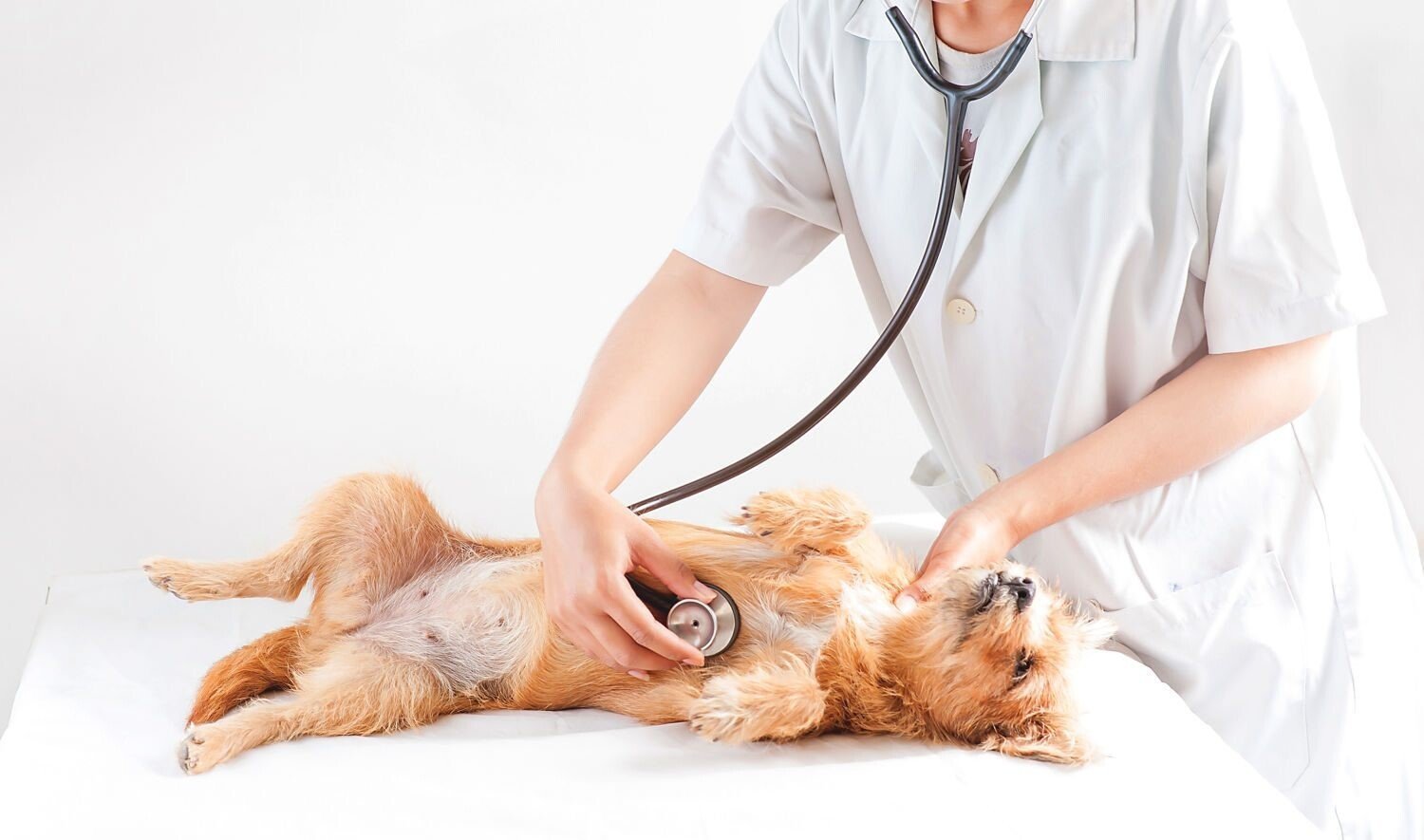 Dr. Pențea Ioan, despre obiectivele şi strategiile conducerii ...