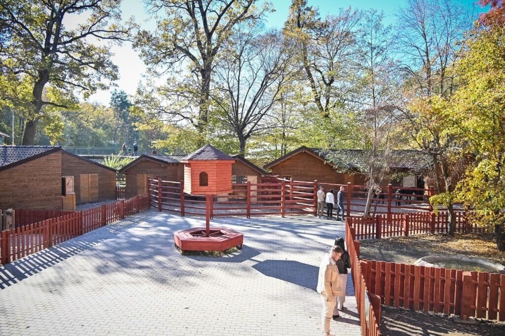 La Zoo Sibiu micii vizitatori pot interacționa cu animale domestice ...