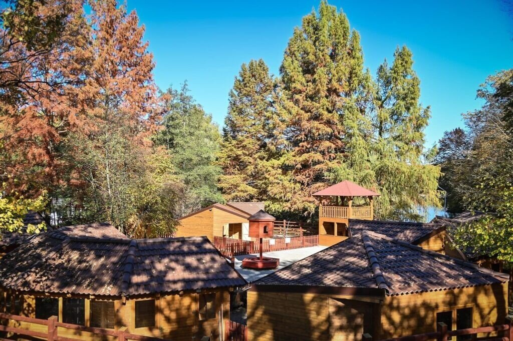 La Zoo Sibiu micii vizitatori pot interacționa cu animale domestice ...