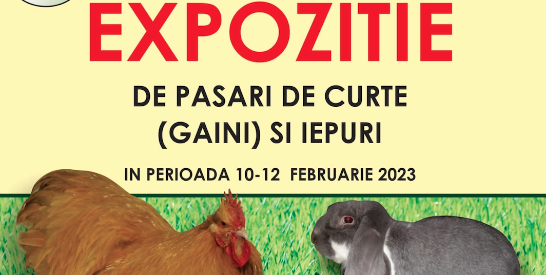 Expoziție interjudețeană de păsări și animale de rasă, cu vânzare, la ...