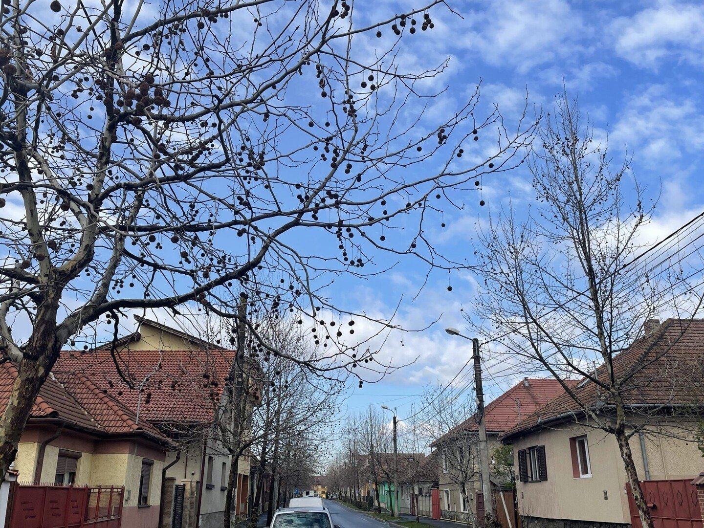 Modelul din Roma Antică, executat românește la Sibiu! Totul se ...