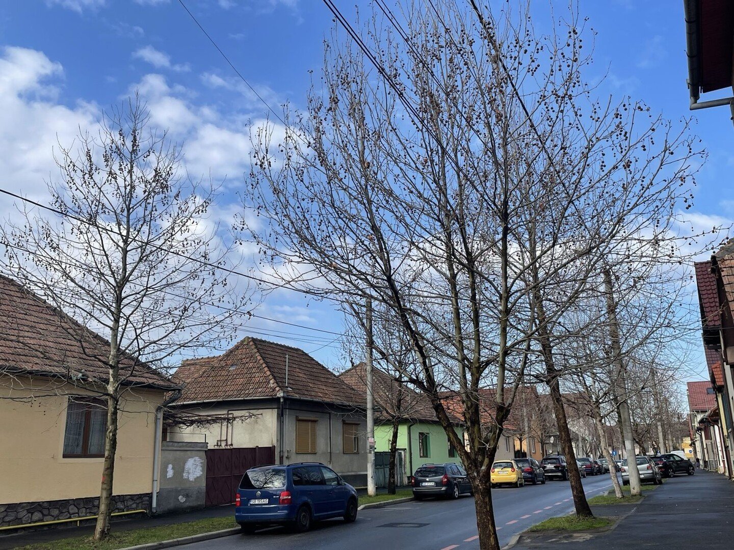 Modelul din Roma Antică, executat românește la Sibiu! Totul se ...